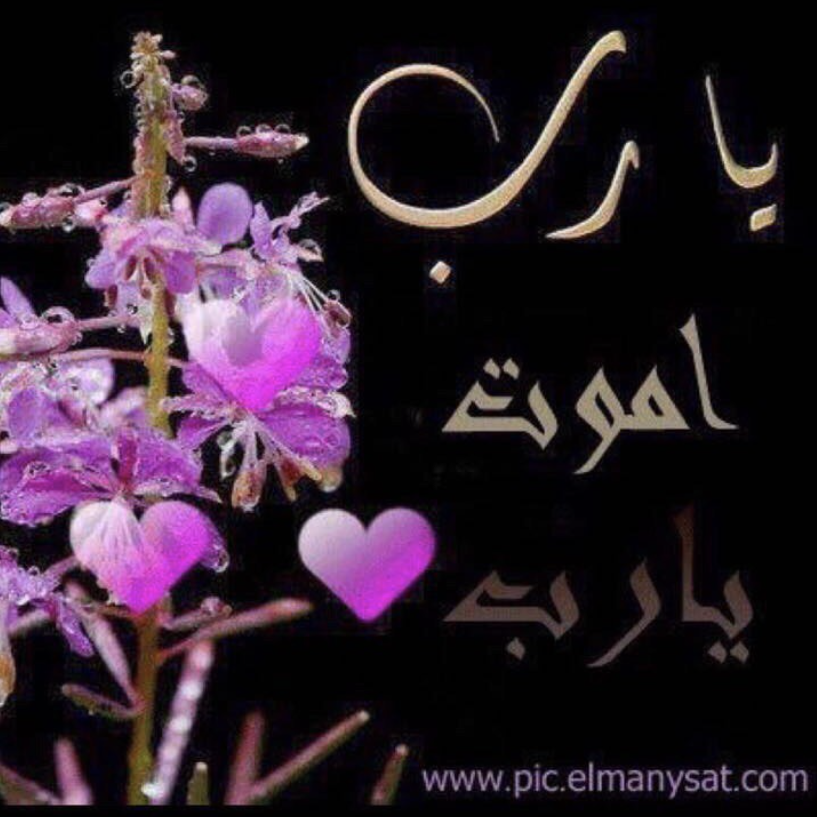 THE GULF GRAPHICS INDEX